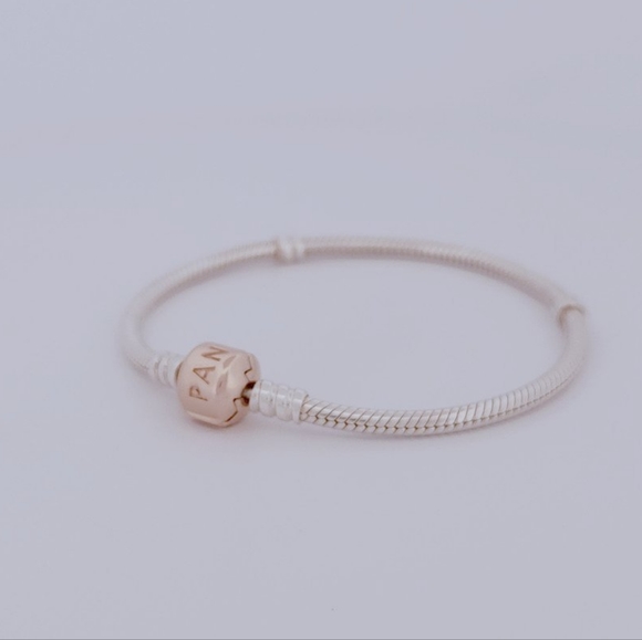 Pandora | Jewelry | Nwot Pandora Moments Twotone Snake Chain Charm ...